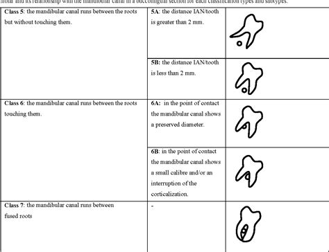 Table 3 From Classification Of Impacted Mandibular Third Molars On Cone