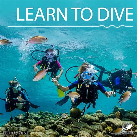 Scuba Diving Training Lessons And Certification In Dallas Tx