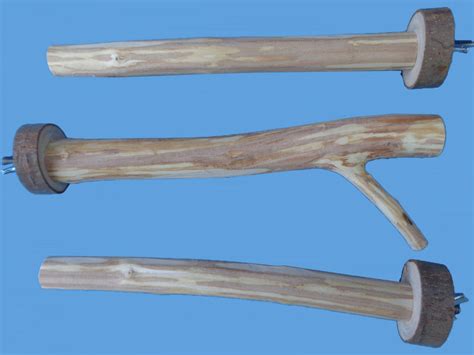 Natural Tree Branch Bird Perches 8 Inch Hand Cut And Shaved Set Of 3