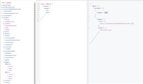 Mediafield Reported An Error When Using A Custom Type In Graphql