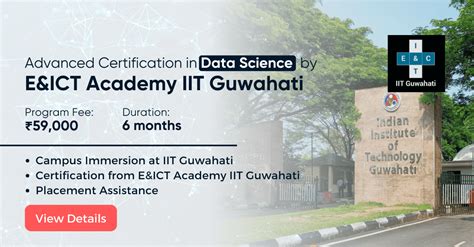 What Are The Data Science Roles And Responsibilities