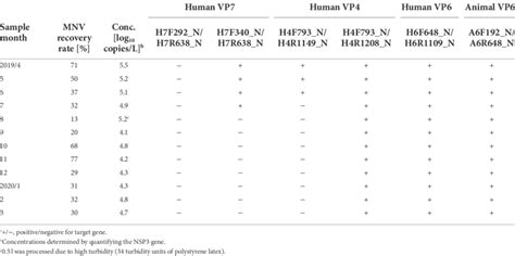 Sensitivity Of Developed Nested Pcr Assays Evaluated Using Sample Set 1 A Download Scientific