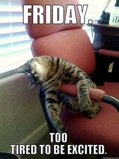 Friday Tired Humor
