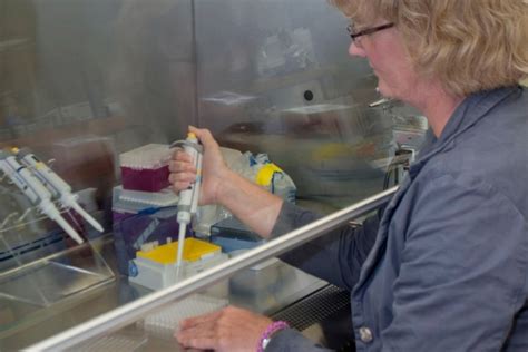 Marine Immunology Reu Mote Marine Laboratory And Aquarium