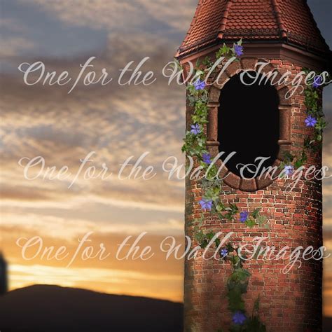 Rapunzel Tower Digital Etsy