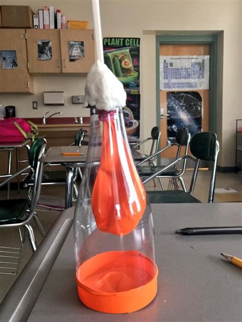 Science Working Models For Class 9 Biology