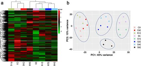 Hierarchical Cluster Analysis HCA A And Principal Component Analysis Download Scientific