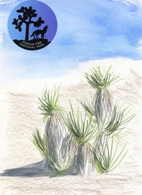 Joshua Tree Sketch At PaintingValley Com Explore Collection Of Joshua Tree Sketch