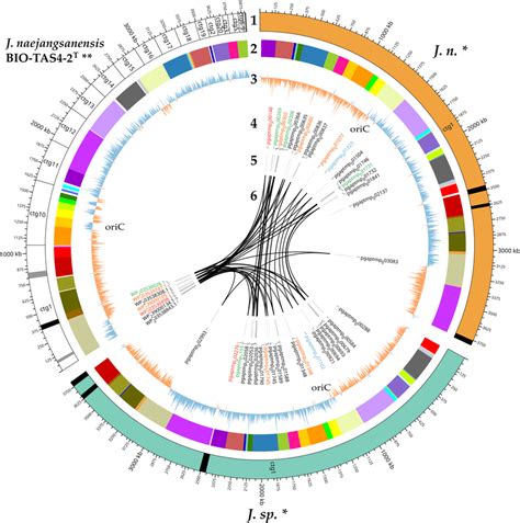 Circos Plot Of The Two In This Study Generated Genome Sequences Of J