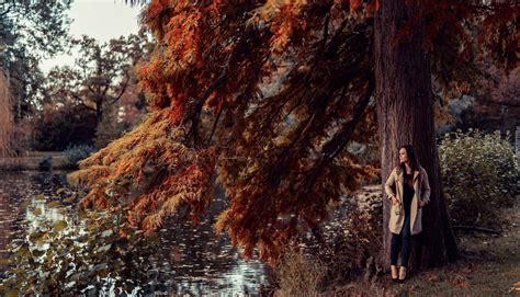 Dziewczyna Pod Drzewem W Parku