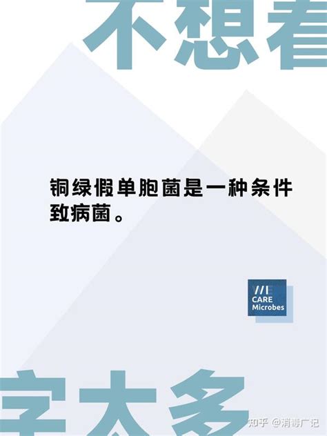每日认识一种微生物 铜绿假单胞菌 知乎