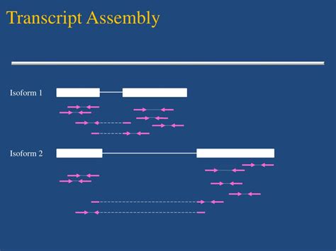 Ppt Reference Based Assembly Powerpoint Presentation Free Download