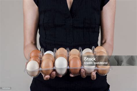 닭 계란의 전체 플라스틱 계란 상자를 들고 검은 셔츠와 백인 여자 15에 대한 스톡 사진 및 기타 이미지 15 가득 찬 갈색 Istock