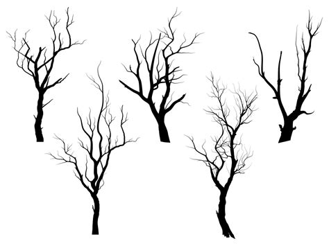 Black Branch Tree Or Naked Trees Silhouettes Hand Drawn Isolated Illustrations Vector