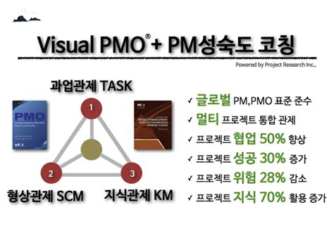 글로벌 기업 성공의 비밀 Pmo 프로젝트관리오피스project Research