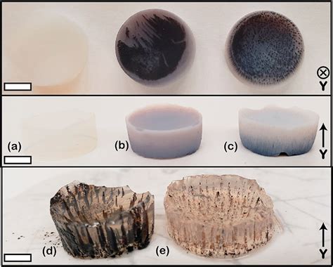 Alexander J Mat Chem Phys 2021 Bioinspired Science And