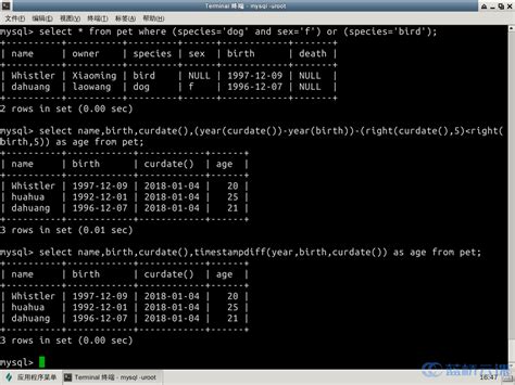 进阶篇 Mysql 操作详解 蓝桥云课