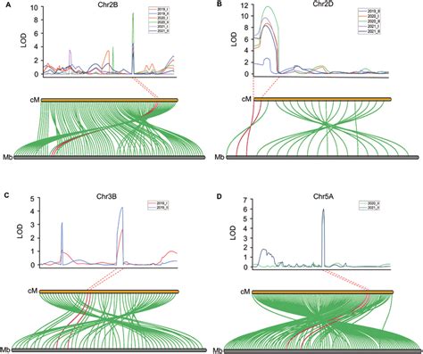 Qtl Mapping Of Leaf Rust Resistance In The Recombinant Inbred Lines
