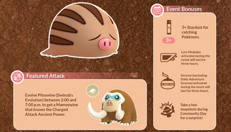 Shiny Swinub
