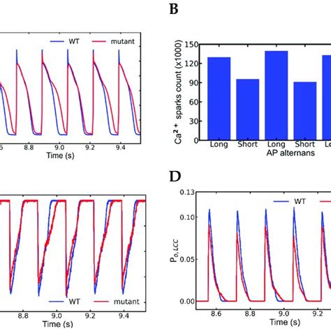 Summary Of Simulation Protocols Download Scientific Diagram