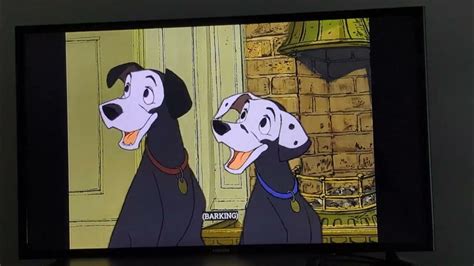 Dalmatian Plantation With Lyrics 🎶🎶🎵🎵🎶🎶 Youtube