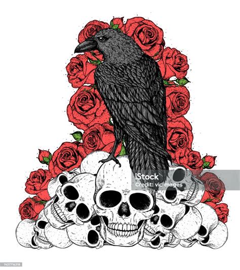 검은 까마귀가 두개골에 앉는다 해골 까마귀 장미 손으로 그린 그림 문신 빈티지 프린트 해골 손으로 그린 프린트 문신 디자인 두개골 꽃 까마귀 더미 T 셔츠에 대한 스톡 벡터