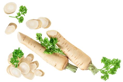흰색 배경에 분리 된 슬라이스와 나뭇잎파슬리 루트 맨 위 보기 플랫 레이 파슬리 뿌리에 대한 스톡 사진 및 기타 이미지