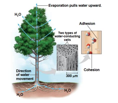 Ch 3 And 4 Flashcards Quizlet