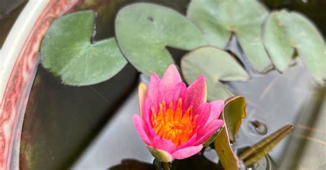 夏季休暇のお知らせ