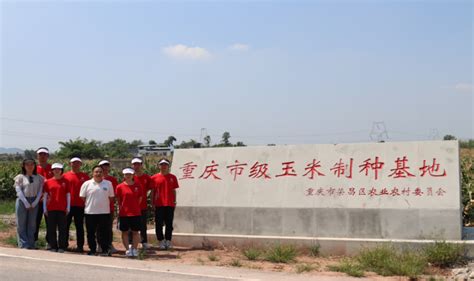 西政师生在行动关注粮食安全护航乡村振兴 重庆日报网