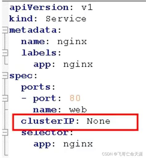 Kubernetes08：controller （有状态应用） Csdn博客