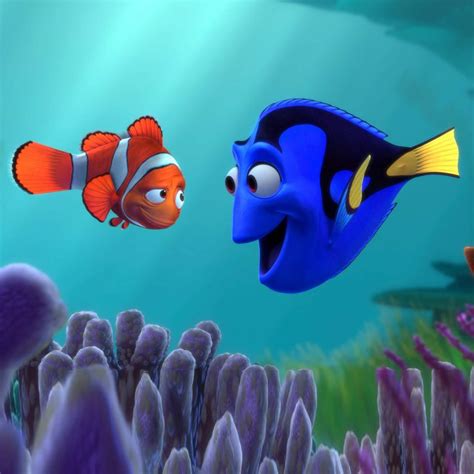 Hidden Gems From Finding Nemo You Cant Miss