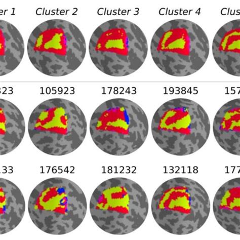 Qualitative Evaluation Of Clusters Average Cluster Maps Are Shown In Download Scientific