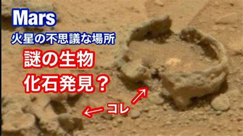 火星の不思議な場所・謎の生物の化石発見？mars Rover Curiosity On Sol 309 2013 06 19 Youtube