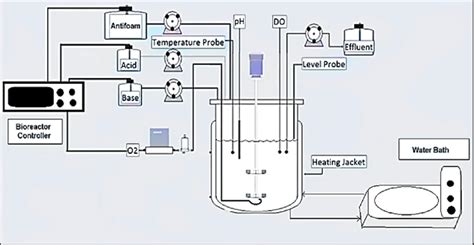 Schematic Of The Bioreactor For A Batch Fermentation Operation Download Scientific Diagram
