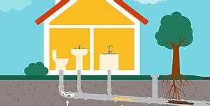 How To Get Rid Of Tree Roots In Drains After Hours Plumbing