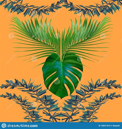 Colorful Palm Leaves Pattern For Nature Concept Tropical Leaf On Orange