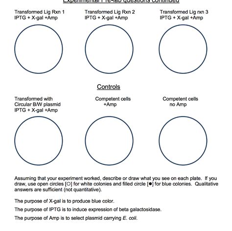 solved the next two pages contain prelab questions for lab 7