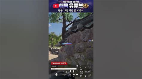 광동 프릭스 12킬 치킨 팀 보이스 Shorts Youtube