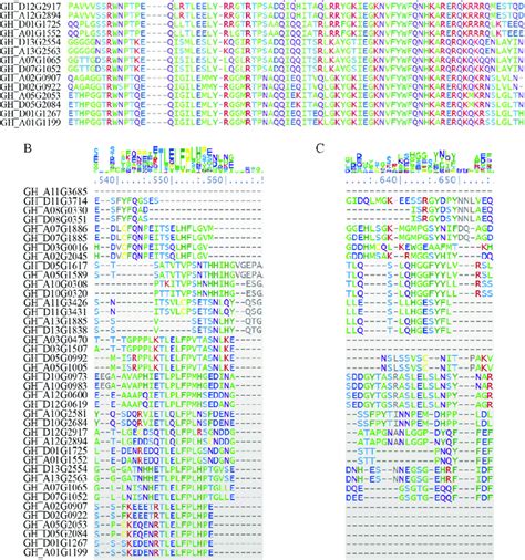 Multiple Sequences Alignment Of The Protein Sequences Of Cooon Woxs