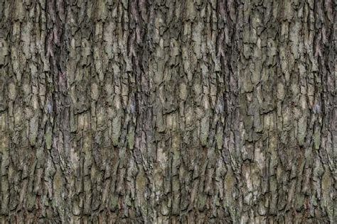 Tree Seamless Texture Stock Photos Images And Backgrounds For Free Download