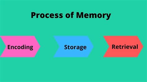 Memory Encoding Storage Retrieval