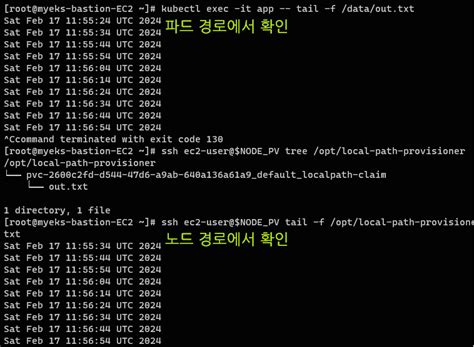 Eks 임시 파일시스템과 Emptydir Local Path Provisioner