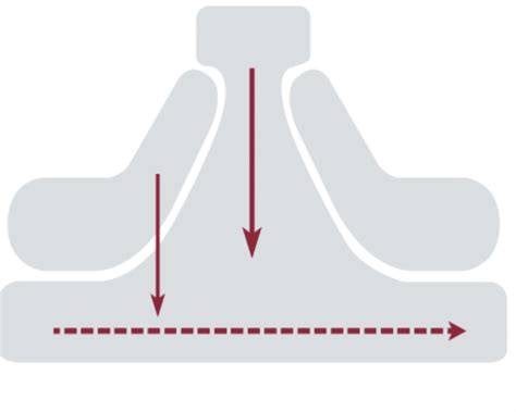 Chapter 2 The Structural Framework Flashcards Quizlet