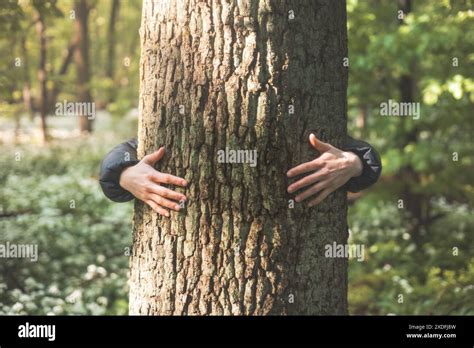 Hugging A Massive Tree In The Wilderness Symbolizing A Deep Connection