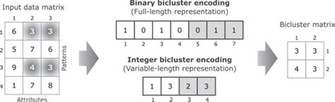 Metaheuristic Biclustering Algorithms From State Of The Art To Future