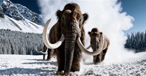 Iphone 17 Pro Back Design Leak Hints At Bold Redesign Igeeksblog