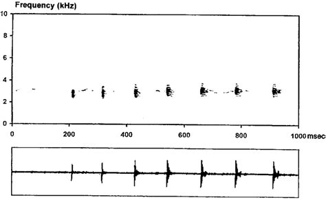 Sonagram And Oscillogram Of A Call Of Boophis Erythrodactylus Download Scientific Diagram