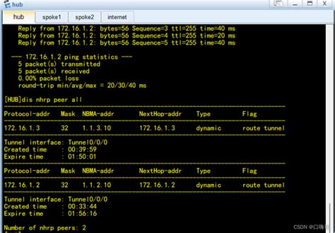 配置非shortcut方式dynamic smart virtual private network（静态路由） csdn博客