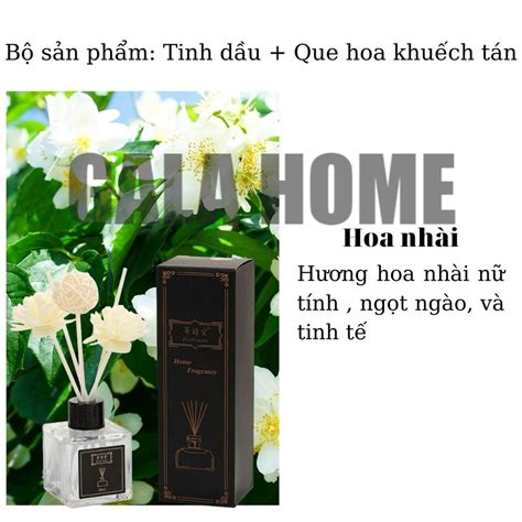 Tinh D U Th M Thi N Nhi N Ml Tinh D U Th M Ph Ng Tinh D U N C Hoa Que G T Khu Ch T N Thanh